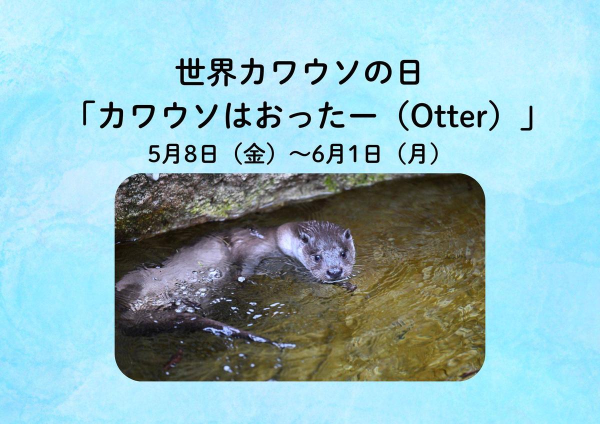 世界カワウソの日「カワウソはおったー（Otter）」を開催します！|イベント・講座・教室情報|よこはま動物園ズーラシア公式サイト｜公益財団法人 ...